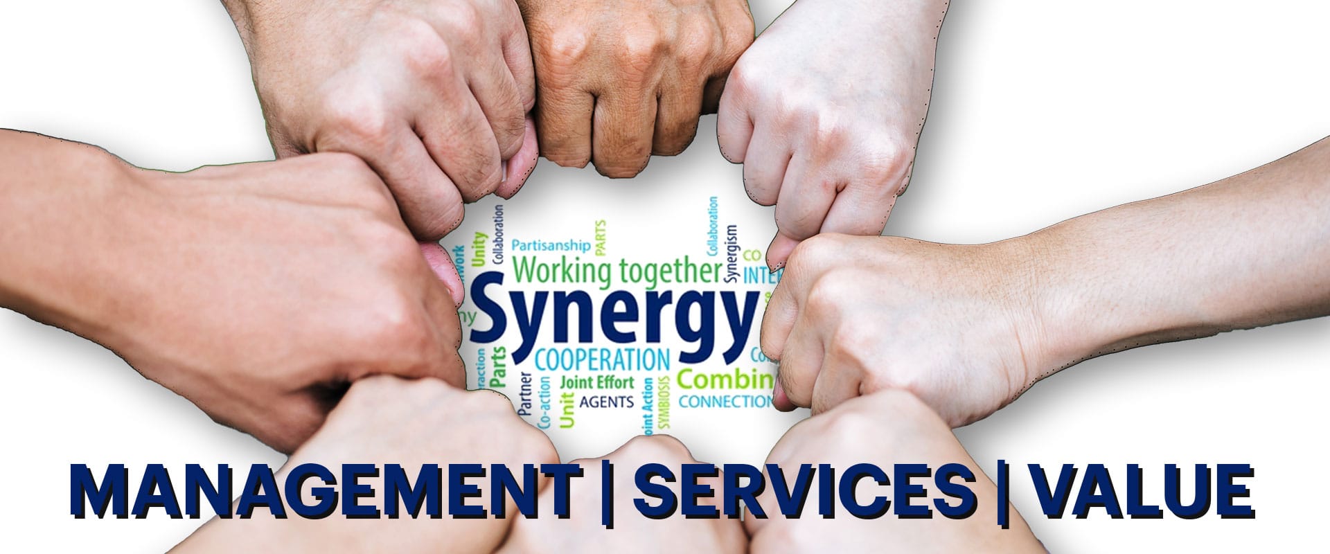 The MSV Group - MSV Group